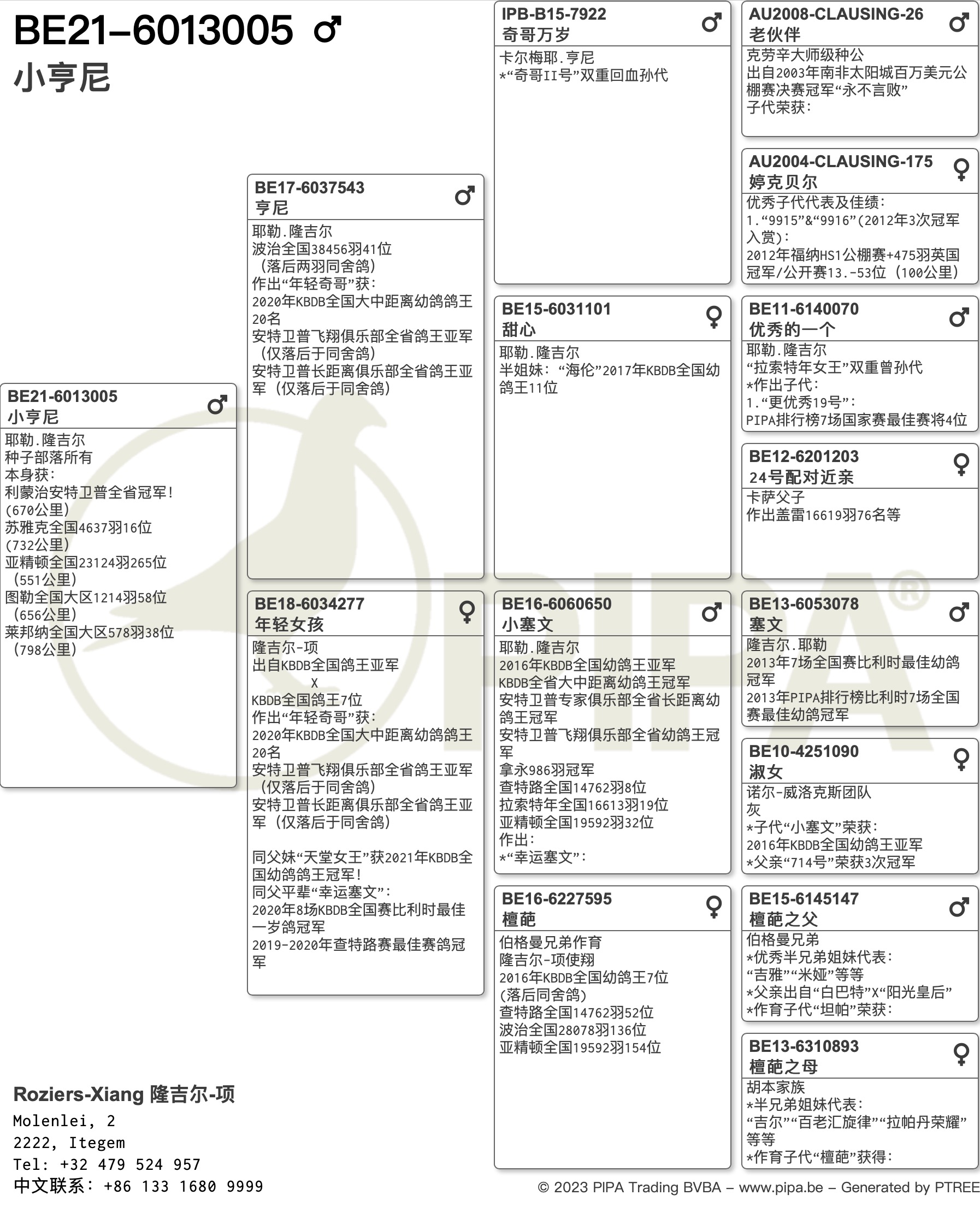 利蒙治I国家赛，种子部落勇夺安特卫普全省冠军！